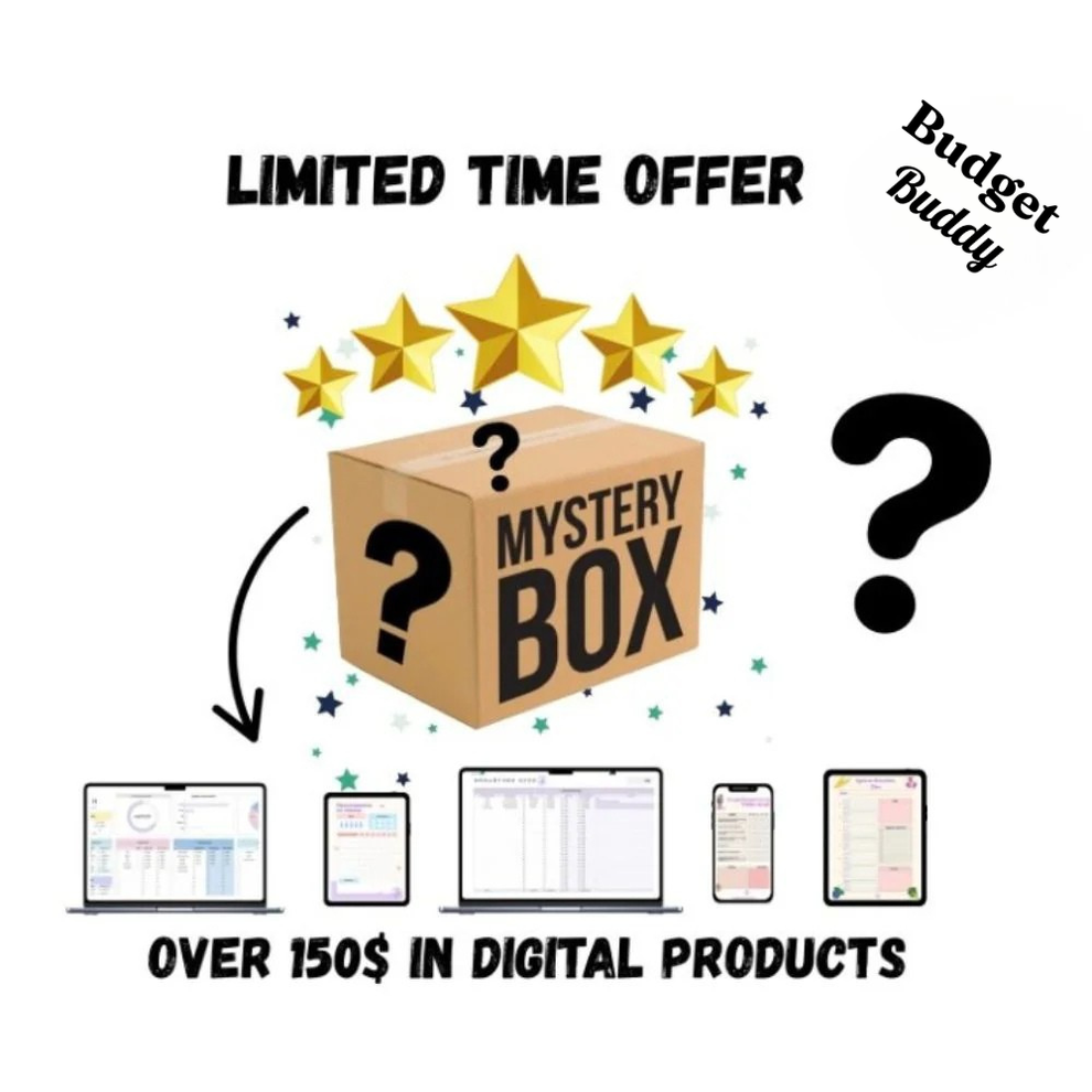 Mystery Box – BudgetBuddy